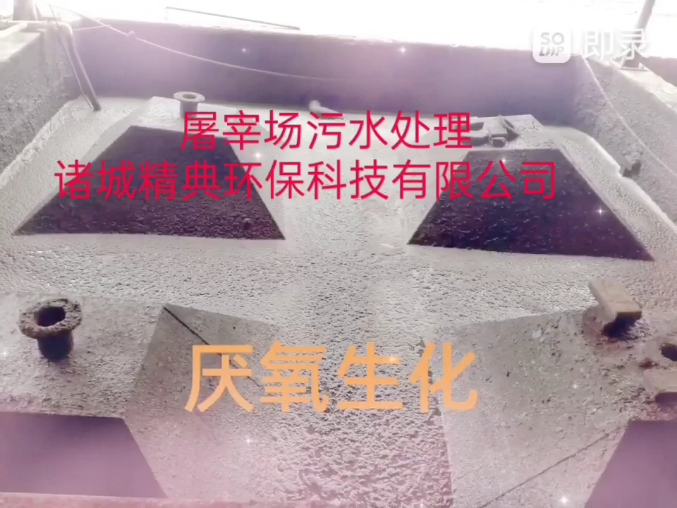 屠宰废水,屠宰污水,达标排放,生化除氨氮,省成本,省费用。诸城精典...