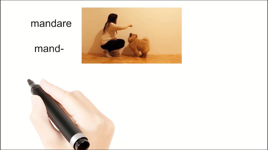 学英语词源知识之mandare命令 英语单词记忆英语学习方法