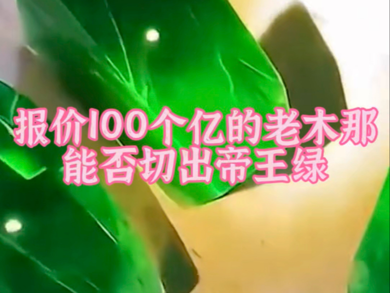 报价100个亿的木那能否切出帝王绿