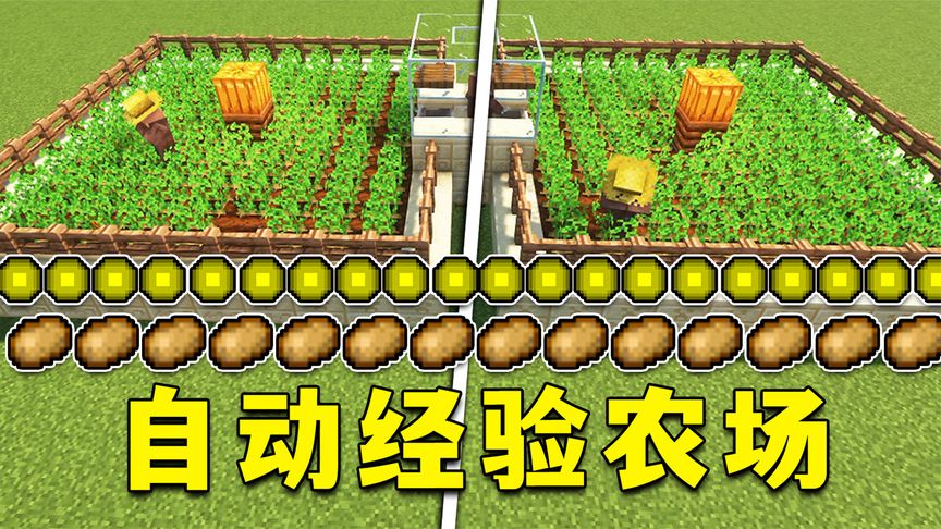 我的世界:自动农场,还能产经验,一机两用!