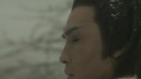 重温最经典的刘永版秦始皇,里面配乐太好听了