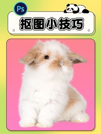 PS抠图别只会用魔棒哦,这几个抠图小技巧你一定得掌握~