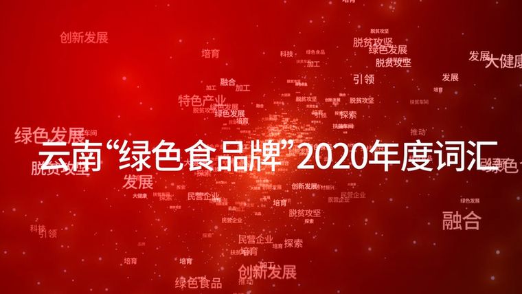 【2021云南两会】政协委员的年度关键词之“云品出滇”