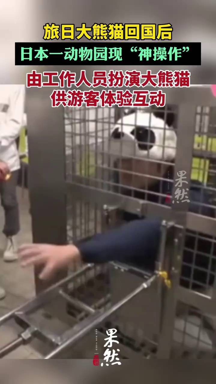 日本推出人扮大熊猫游客体验活动