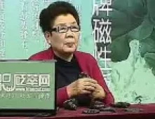 杨奕砭石、泗滨宝砭石的真假怎样辨别?