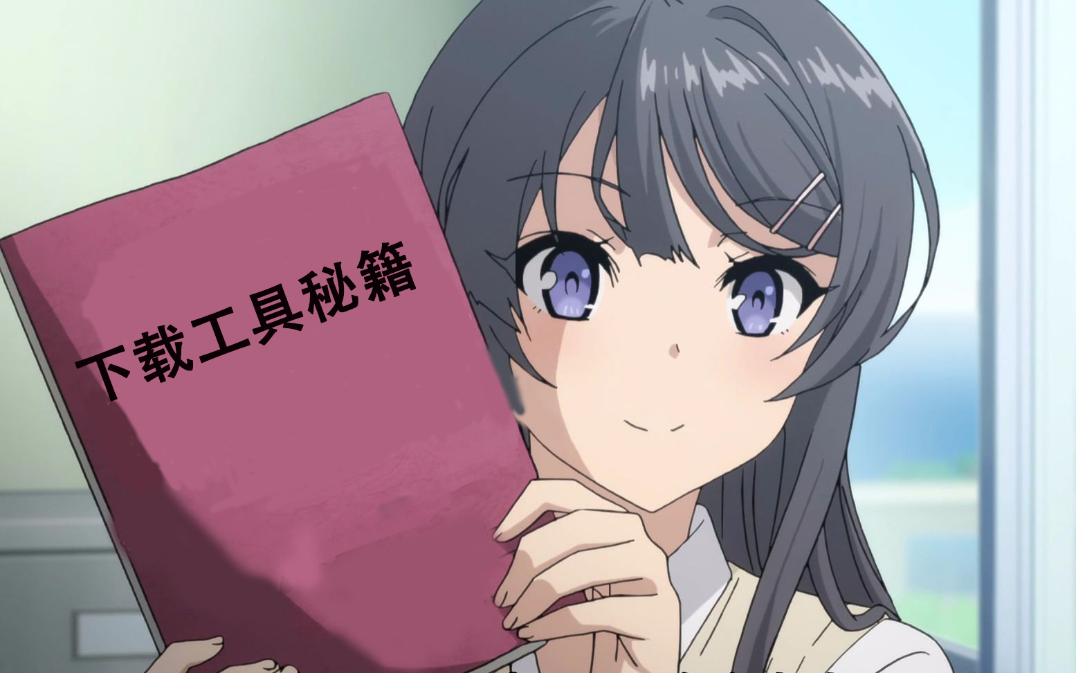 截止2019年那些依旧靠谱的下载工具汇总