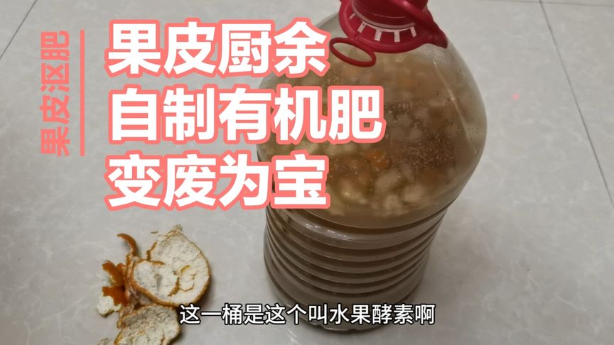 果皮厨余在家自制有机肥变废为宝,沤肥原理,菌的作用
