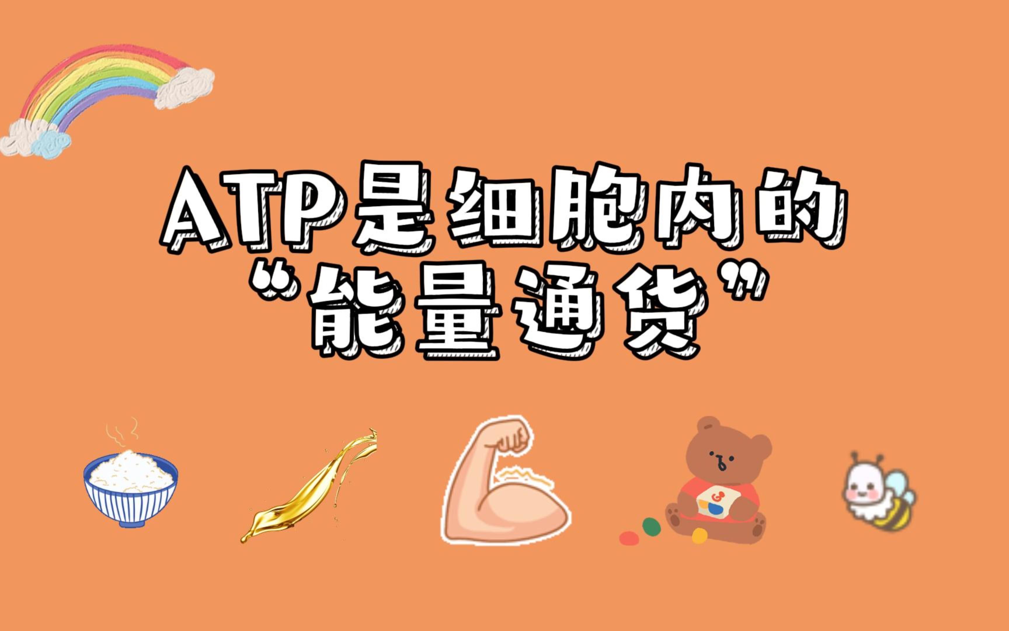 大学微课作业——高中生物 ATP是细胞内的能量通货