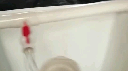 锯缘青蟹暂养池的硝化系统试水成功