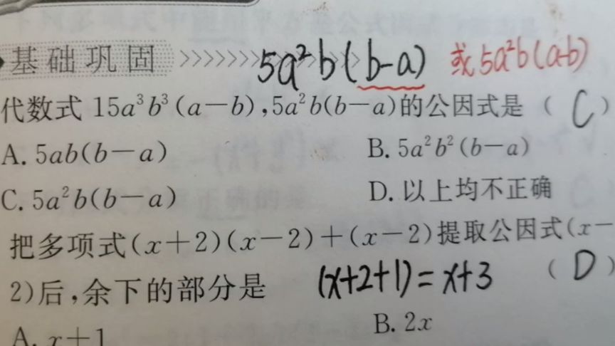 提公因式法(2)作业讲解——3.23