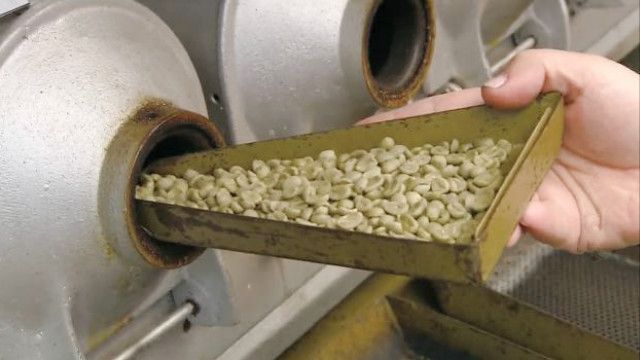 咖啡的生产过程