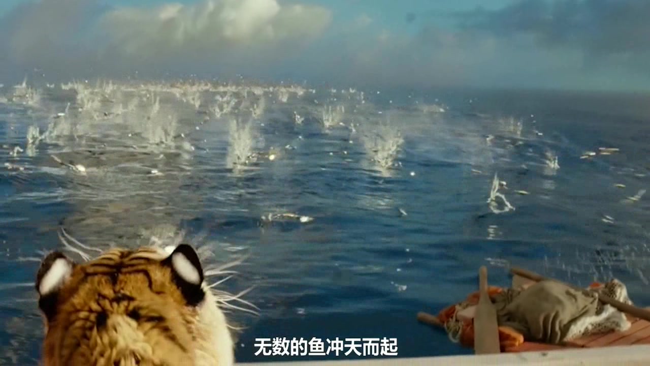 老虎在海上漂泊了200多天,以此为食物才活了下来,匪夷所思!