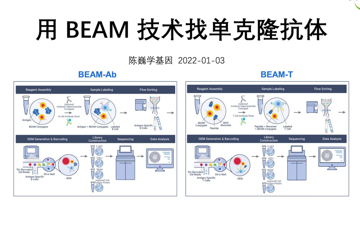 【陈巍学基因】视频100: 用 BEAM 技术找单克隆抗体