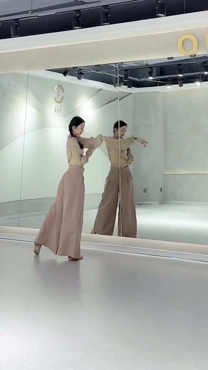 教程来啦~#青花瓷 #古典舞 #背面慢动作分解 #舞蹈镜面分解教学 #翻跳