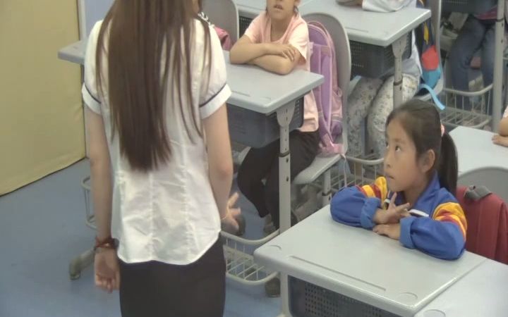 《一起来分类 》(含课件教案优质公开课)王老师 一年级上册数学 北...