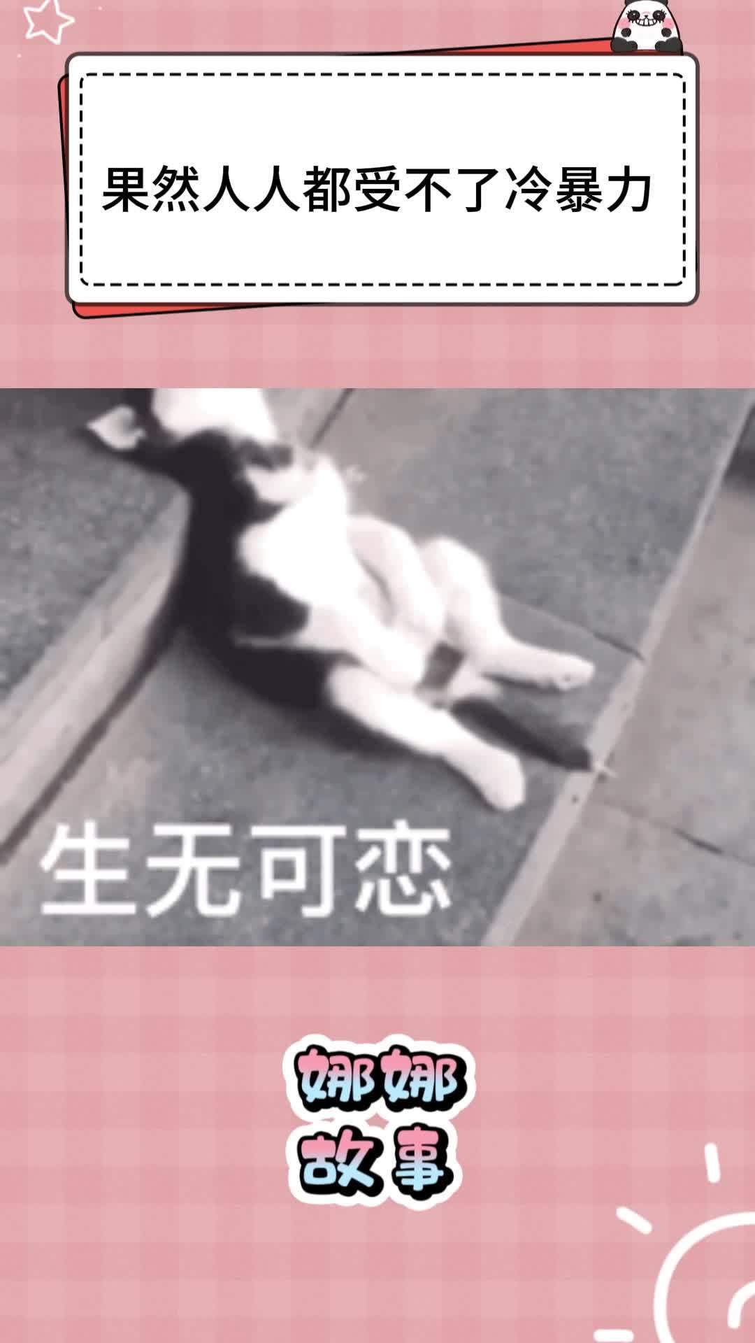 果然人人都受不了冷暴力