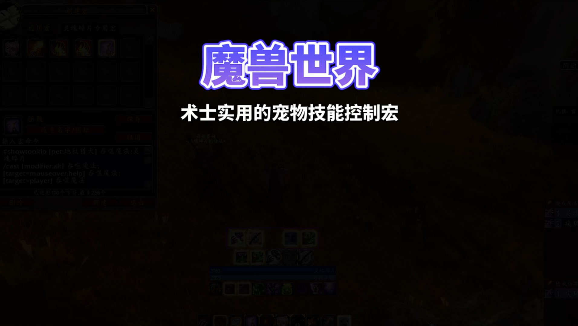 魔兽世界术士pvp 会用到的实用宠物技能控制宏_网络游戏热门视频