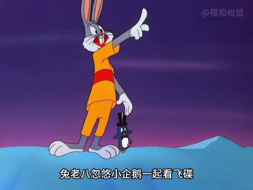 兔子到沙滩旅游,却走错路来要南极 动画 动画解说 搞笑