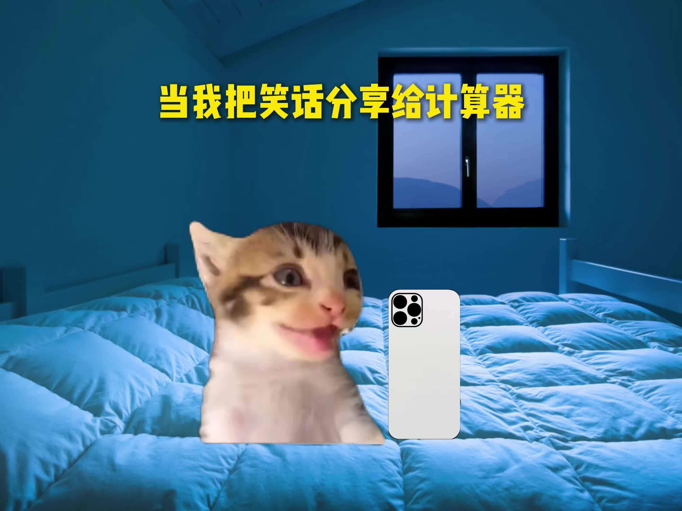 当我把笑话分享给计算器