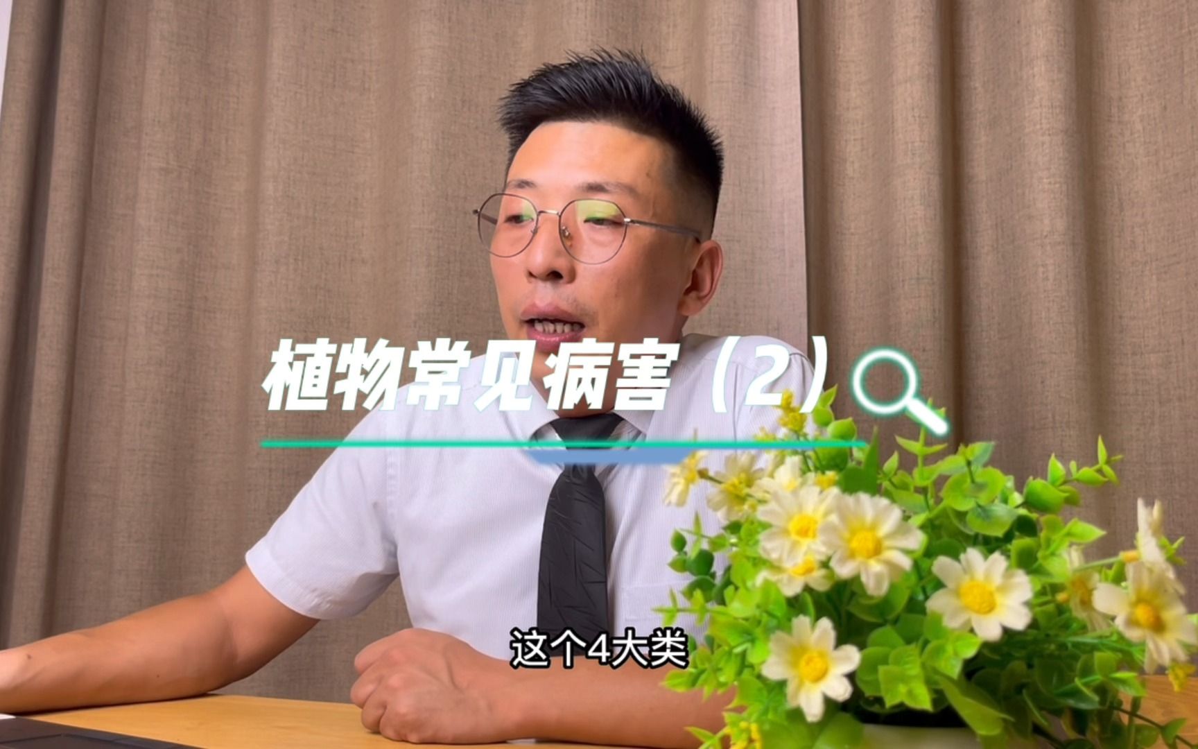 农业植物常见病虫害都有哪些?(二)