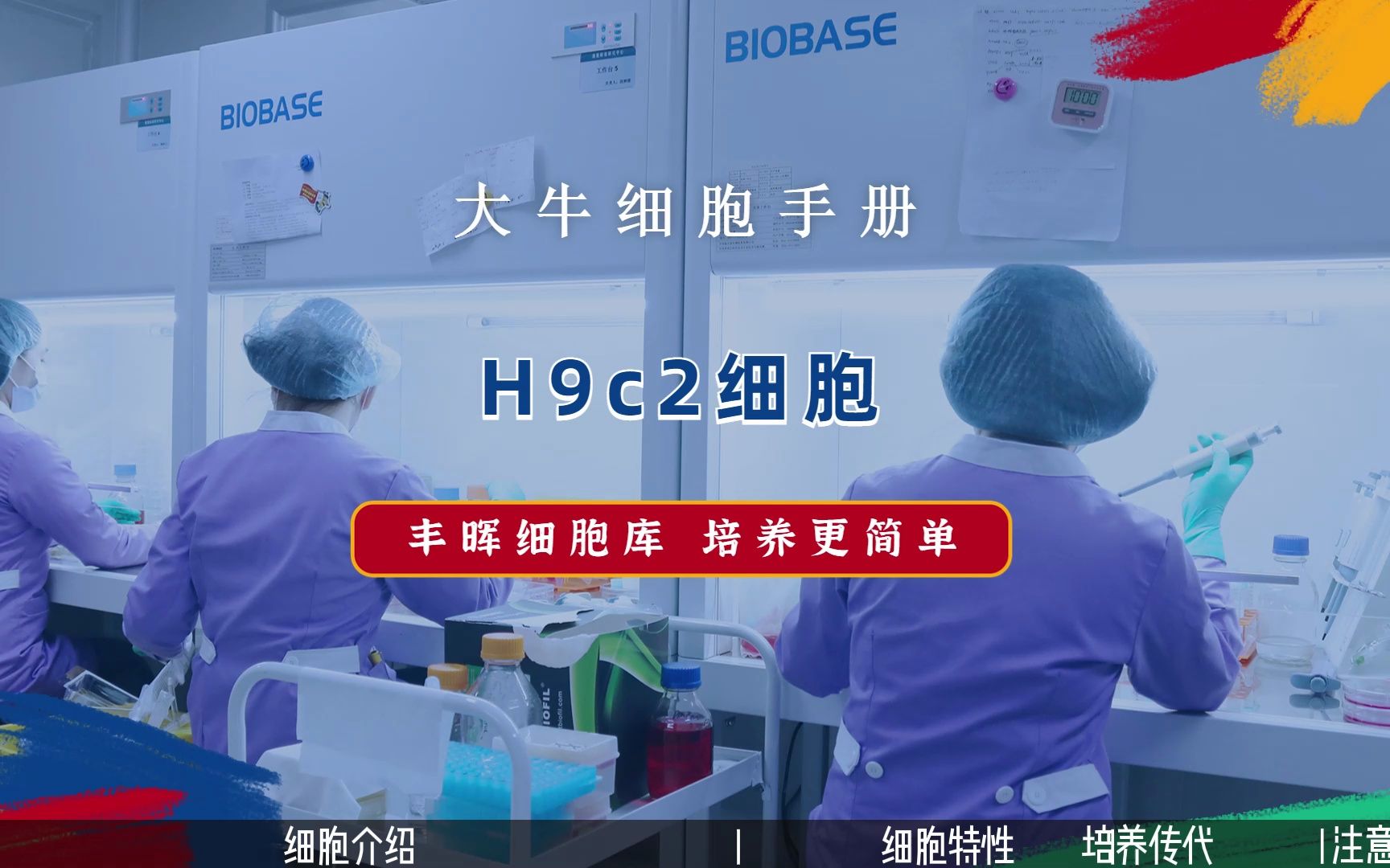 丰晖生物细胞库培养手册——H9c2细胞培养,大鼠胚胎心肌细胞培养...