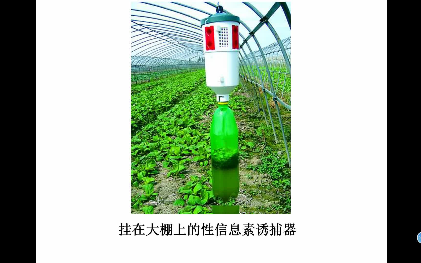 3.4生态系统的信息传递