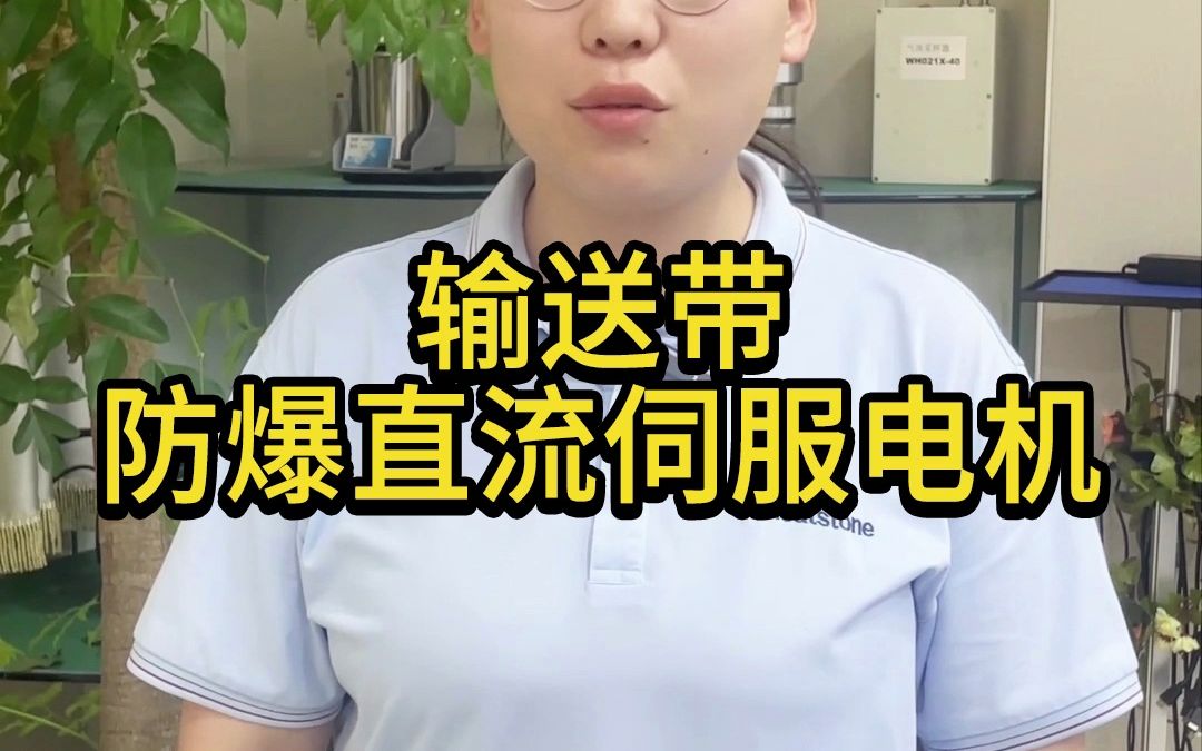 输送带防爆直流伺服电机