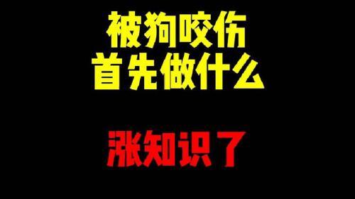 禁止废话:被狗咬伤首先做什么?涨知识了