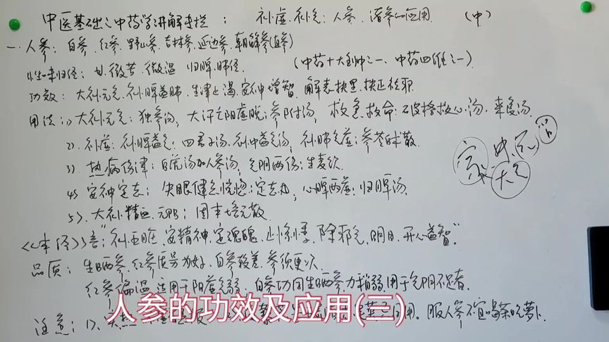 人参的功效及应用(三)