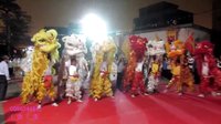 2013调顺村年例之夜醒狮鼓.武术篇