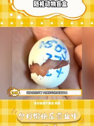 ...的随机动物盲盒.#萌宠出道计划 #神奇动物在抖音 #动物迷惑行为大赏