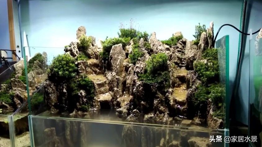 水陆缸造景:吸水石制作水陆缸开缸造景教程