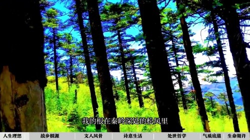 一段有诗意的自我介绍