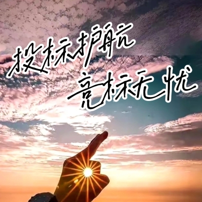 代写标书-李师 