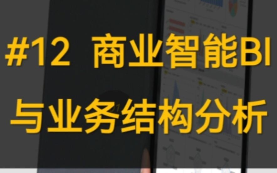 #012 商业智能BI与业务结构分析