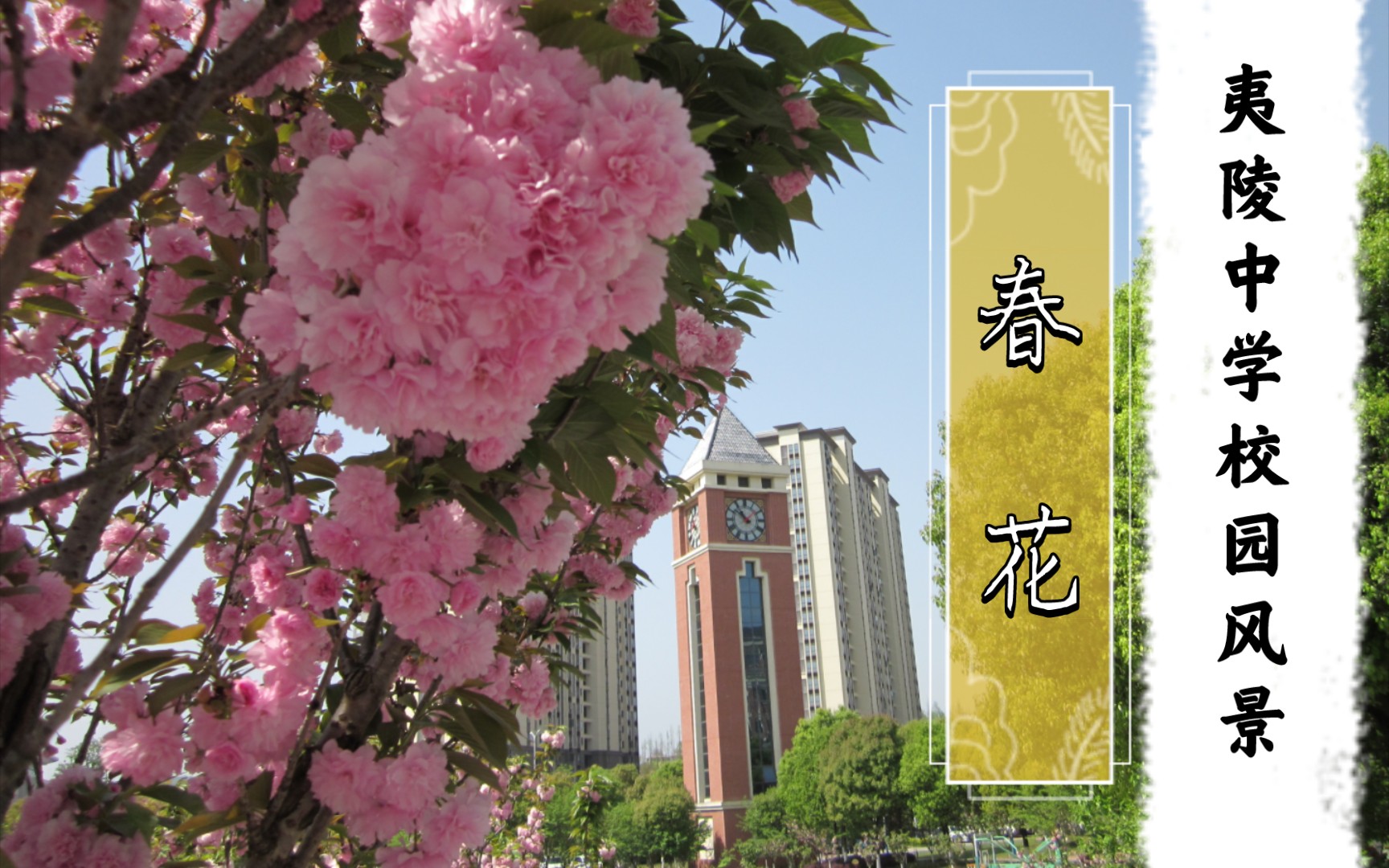 夷陵中学,名副其实的“花园式学校”!百花齐放的春天【夷陵中学校园...