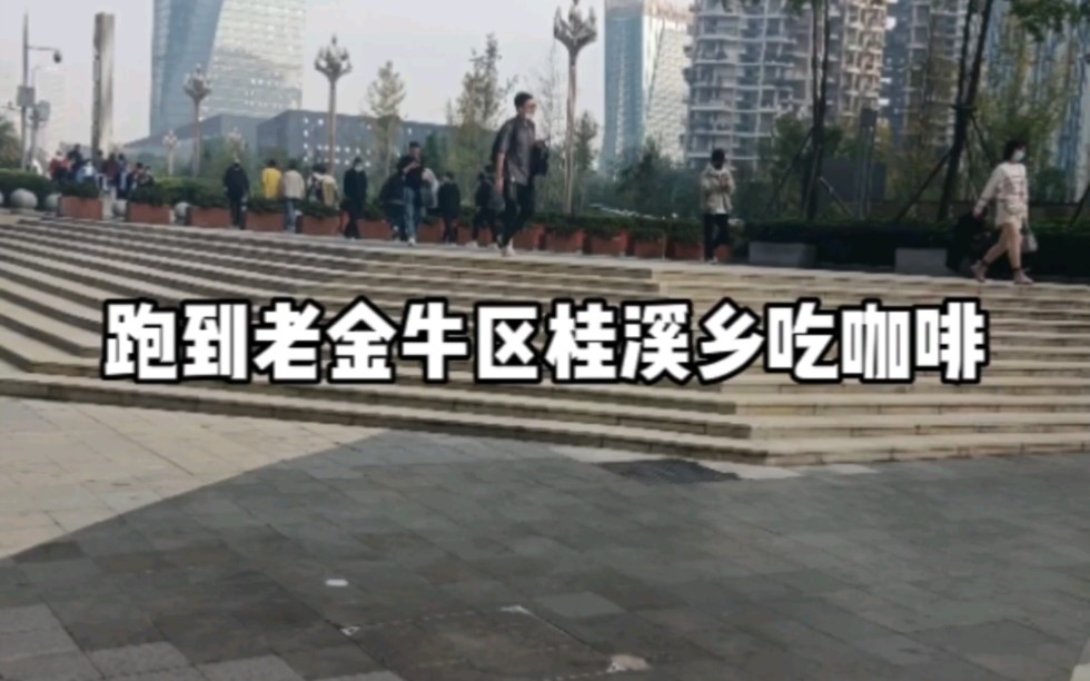 推荐成都的咖啡馆子,主要便宜