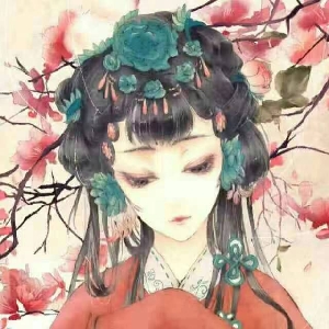 深辰S搬运工 