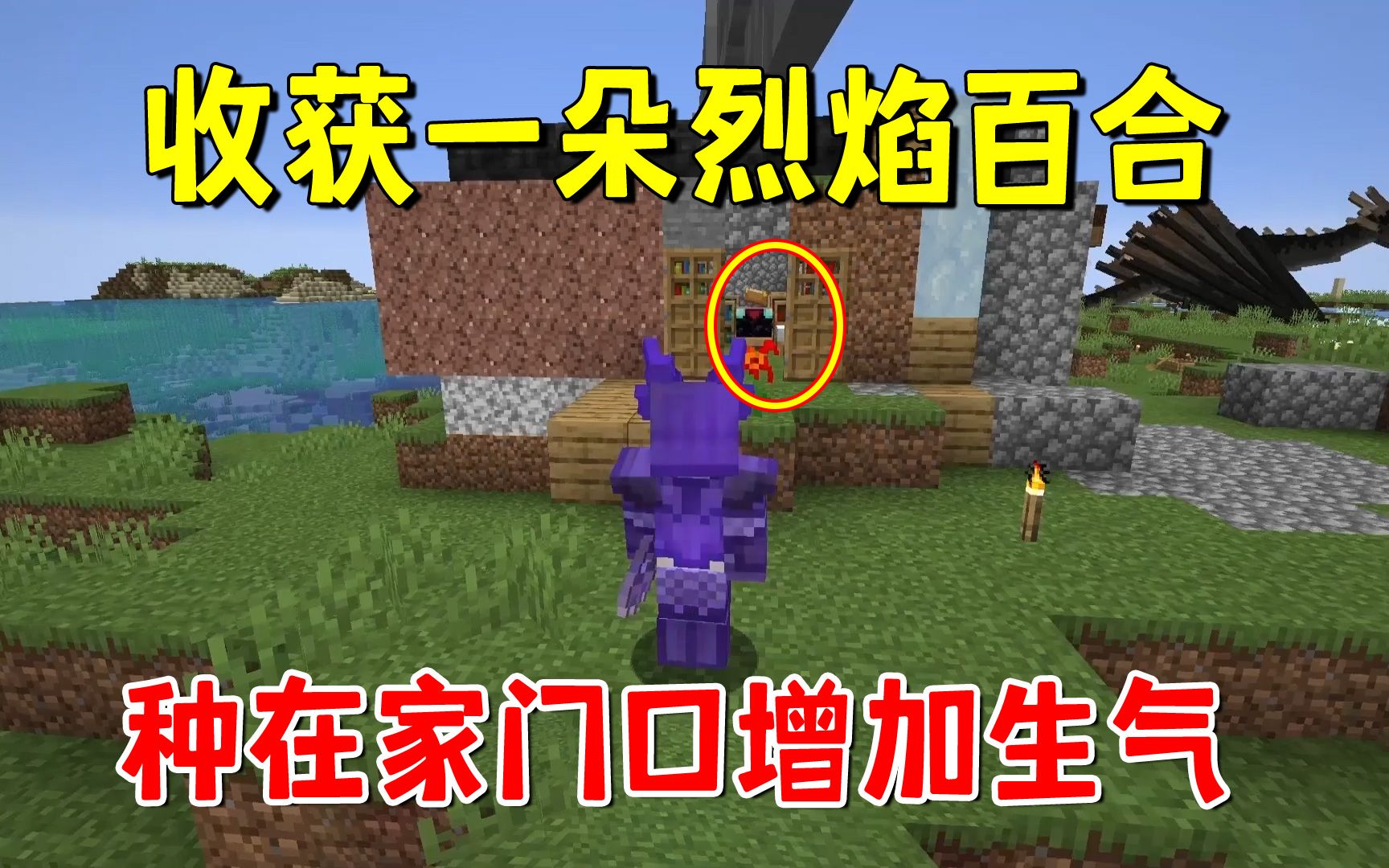 我的世界冰火传说81:收获一朵烈焰百合,种在家门口,增加生气_哔哩...