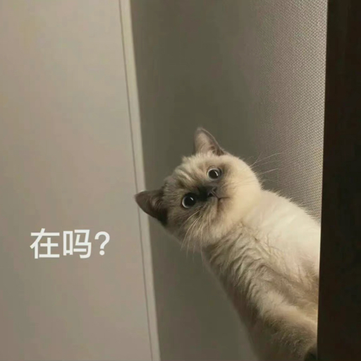 tekihan 
