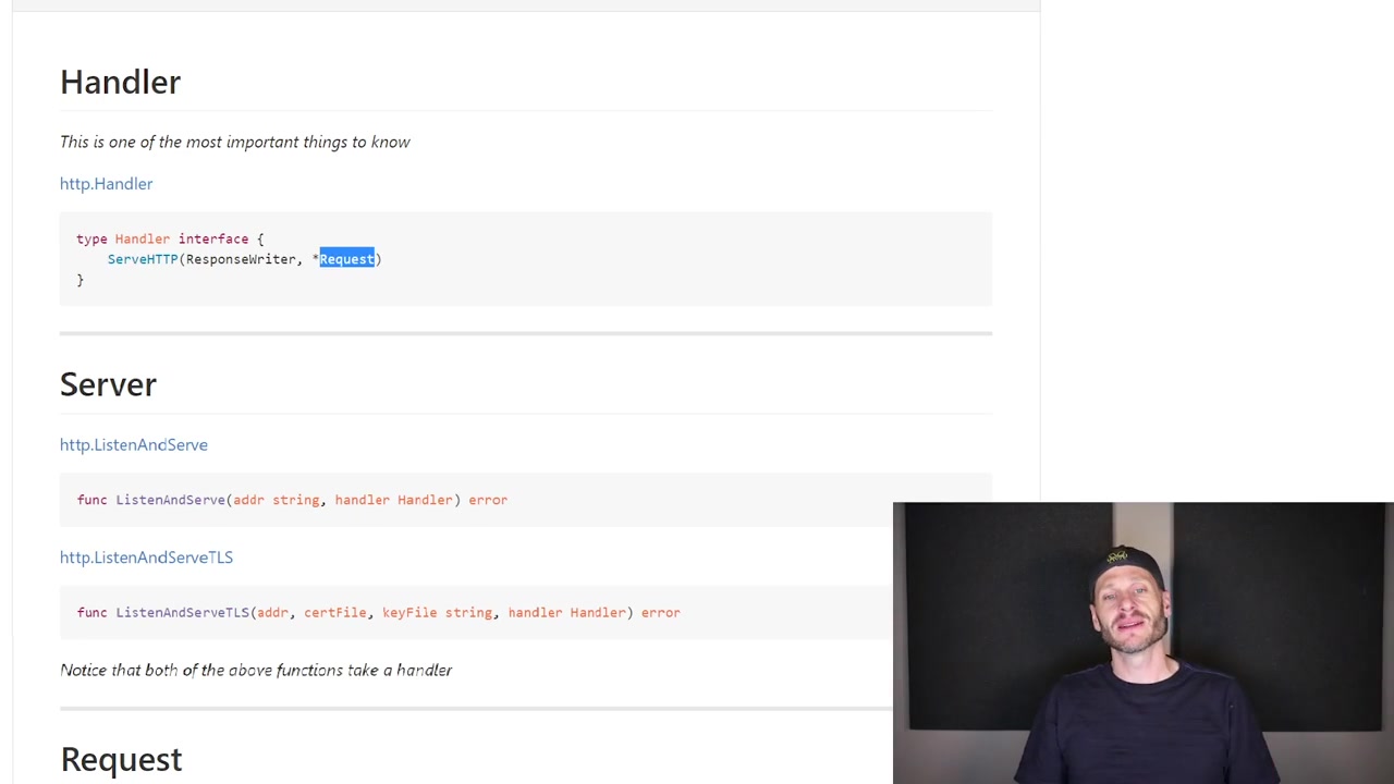 ...nethttp package - Web Development w Google’s Go (golang) Progra