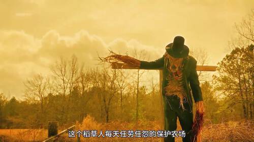 恐怖稻草人,你们害怕么