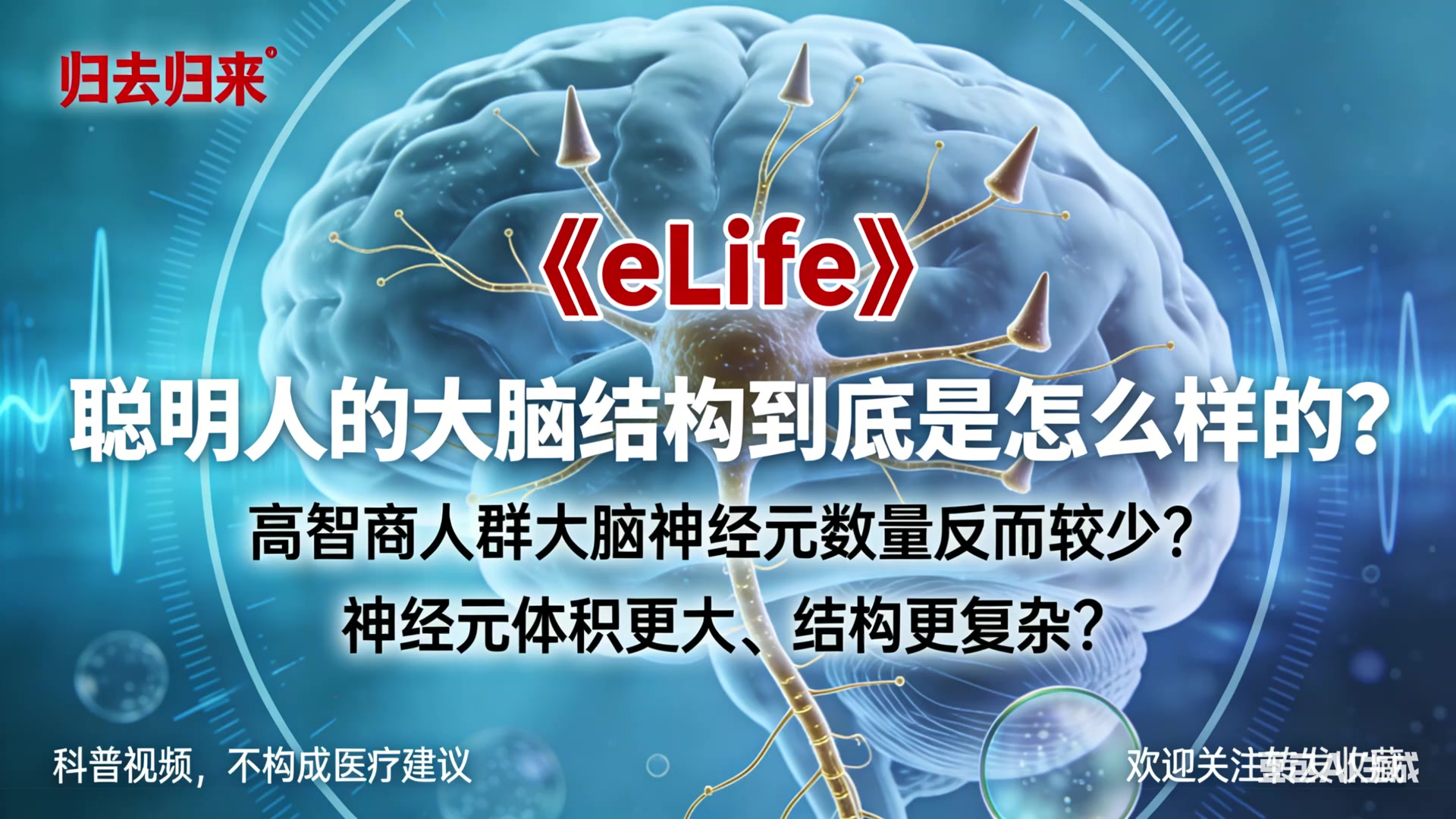 ...:聪明人神经元数量更少?体积和结构才是关键! 高智商人群的大脑藏着...