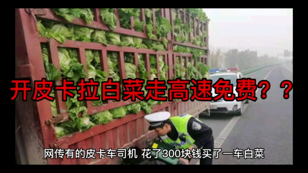 开皮卡车拉白菜走高速免费?是真的哦