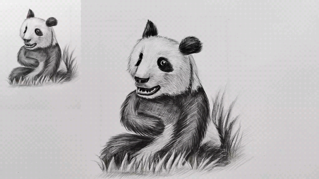 简单易学的素描动物熊猫画法