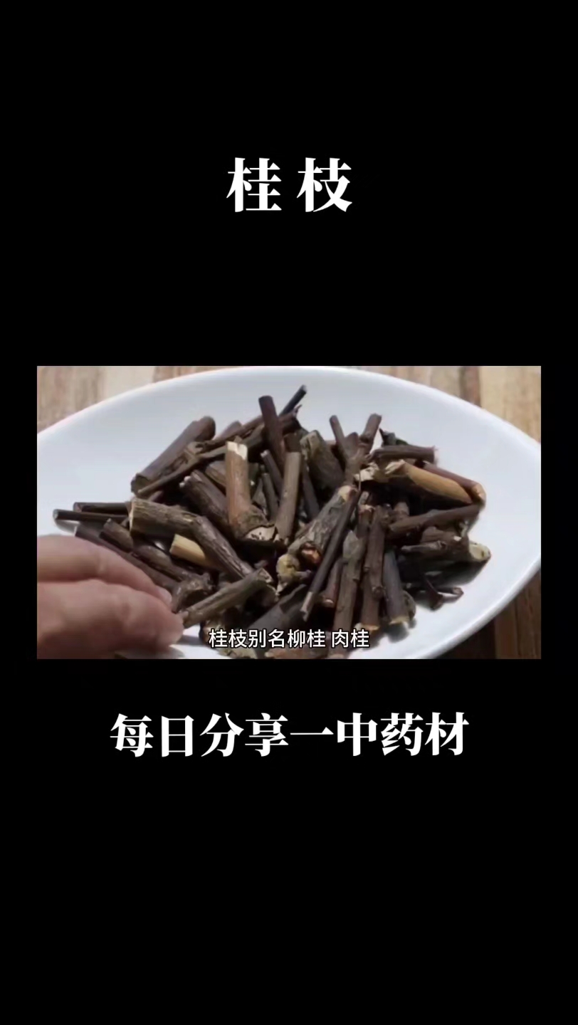 中药材大揭秘:图鉴与功效全解析