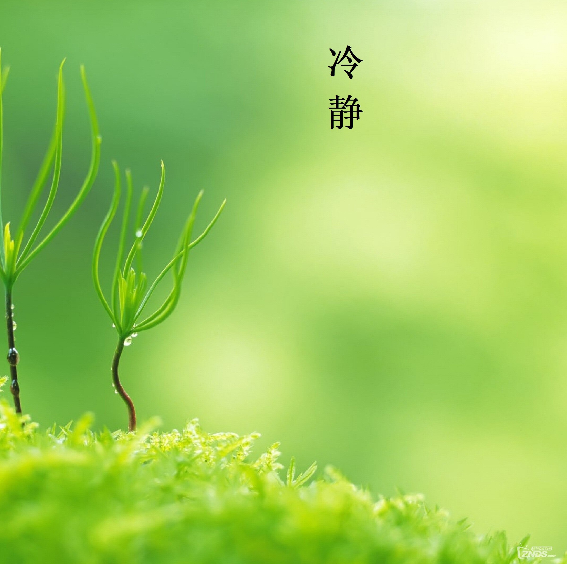 文武俊成 