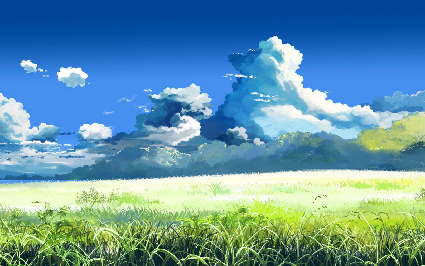 学前教育作业定格动画魔法熊爷爷