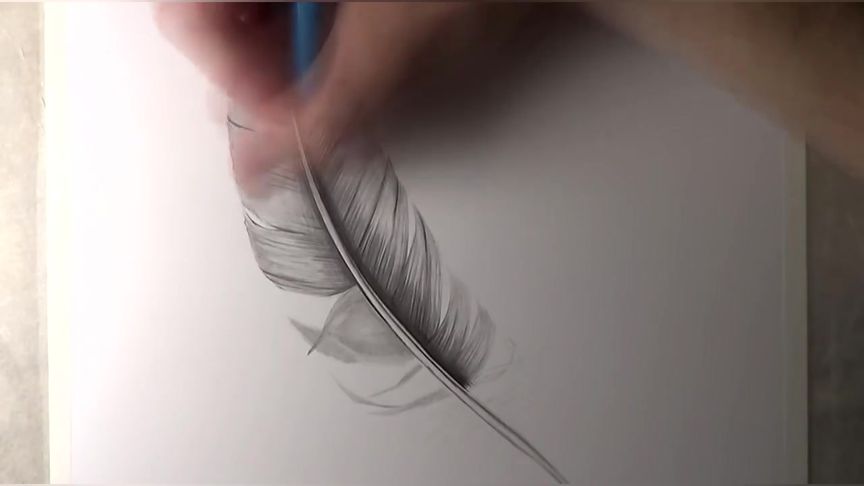 铅笔素描系列十六快速展现羽毛简单细节黑白绘画