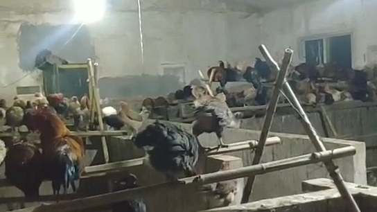 人贵有恒。干任何事情要有决心、恒心和耐心,要有执著追求的精神,这...